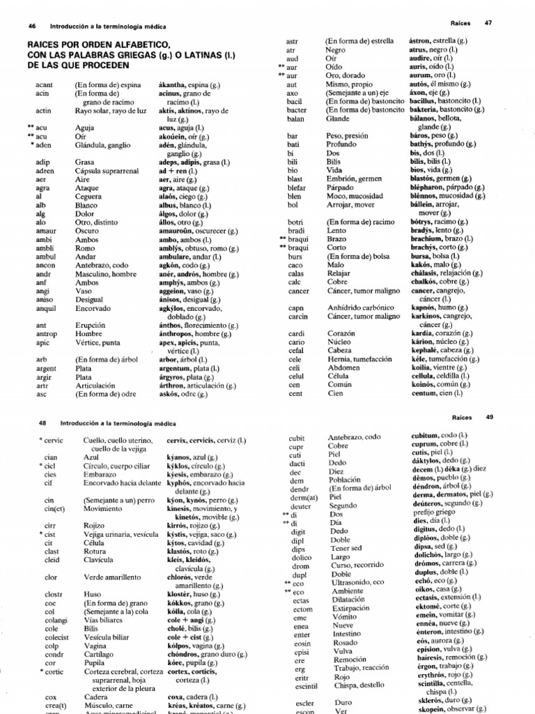 Raices Prefijos Sufijos | PDF