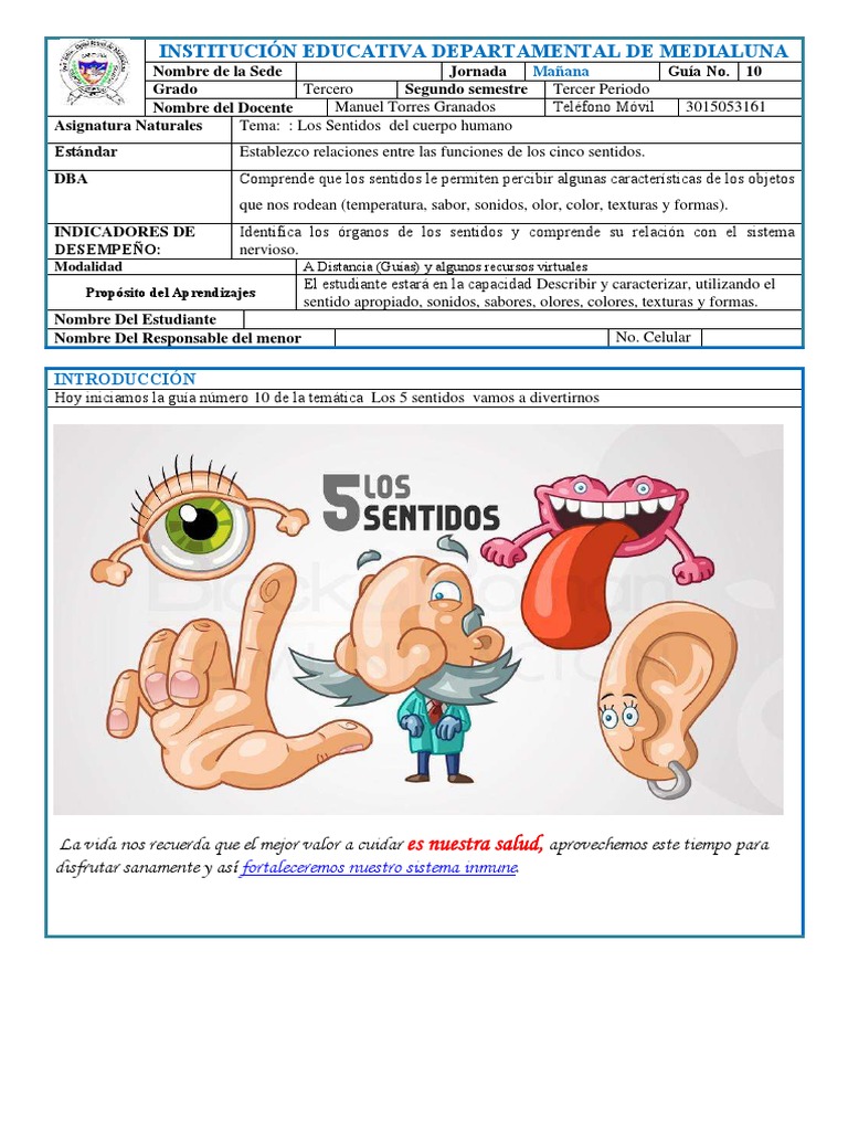 Funciones de los cinco sentidos | PDF | Oído | Piel