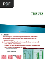 The Integumentary Answer Key | PDF | Integumentary System | Epidermis