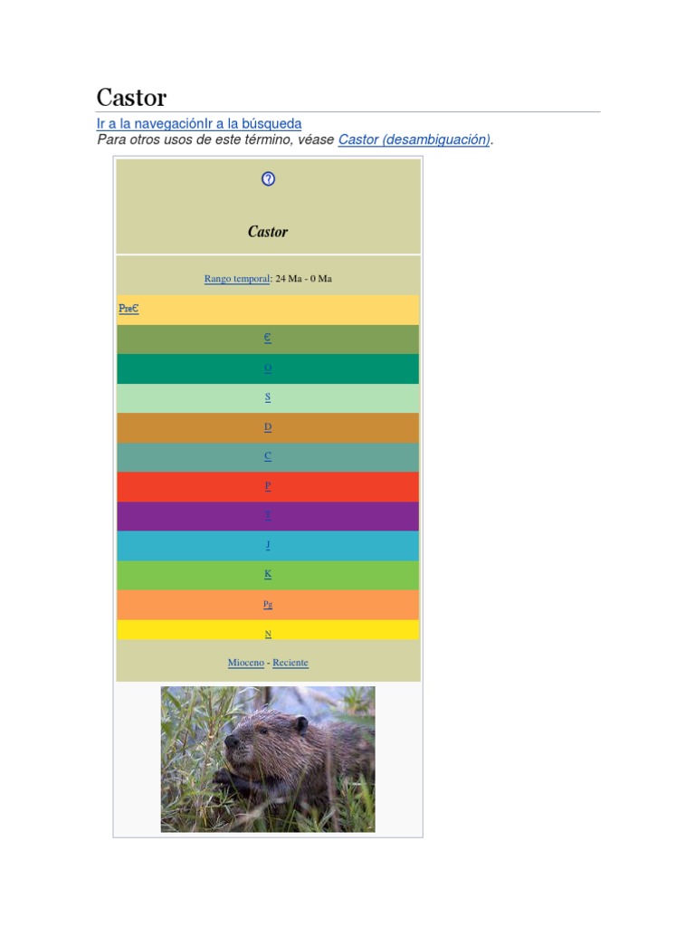 Castor | PDF | Castor