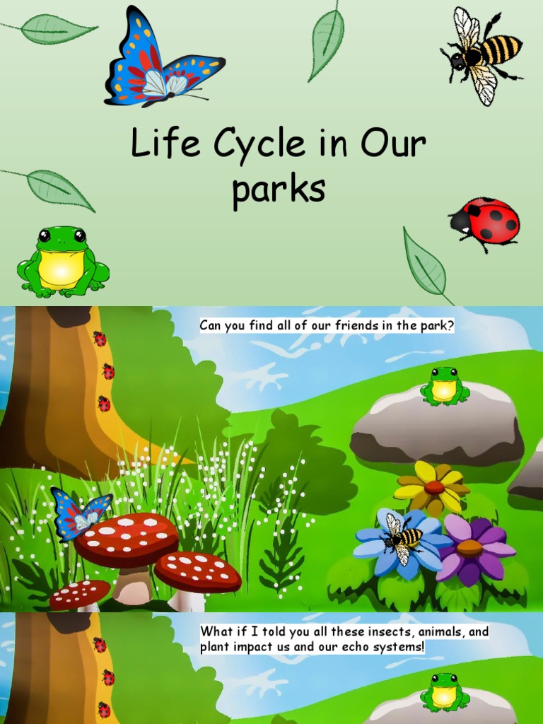 Life Cycle in Our Parks Lesson | PDF | Social Science | Science ...