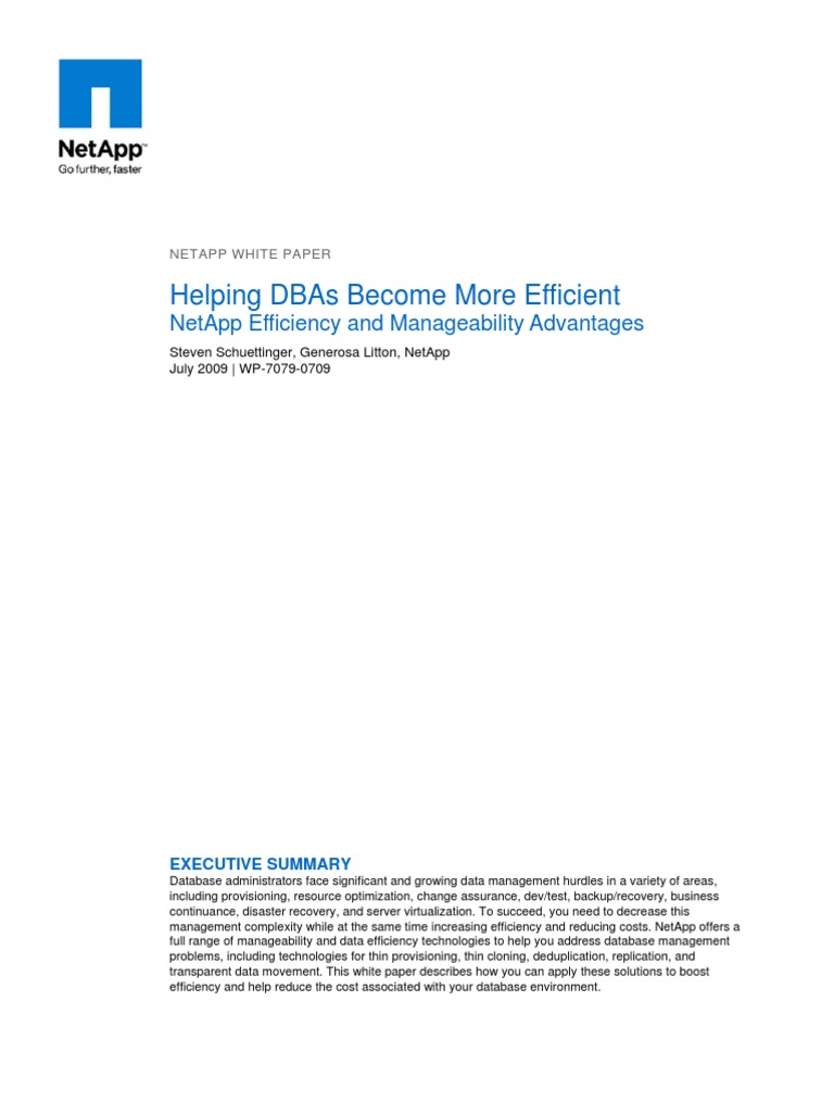 !!!netapp Helping Dbas Become More Efficient Whitepaper | PDF | Backup | Replication (Computing)