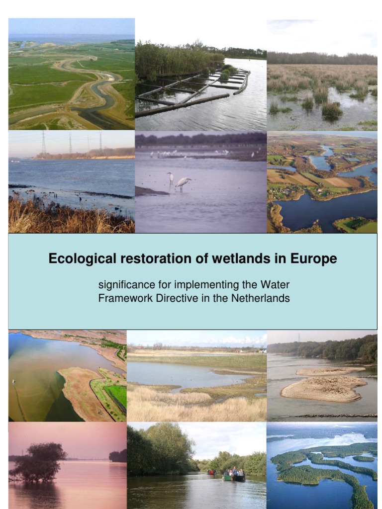 Ecological Restoration of Wetlands in Europe | PDF | Wetland ...