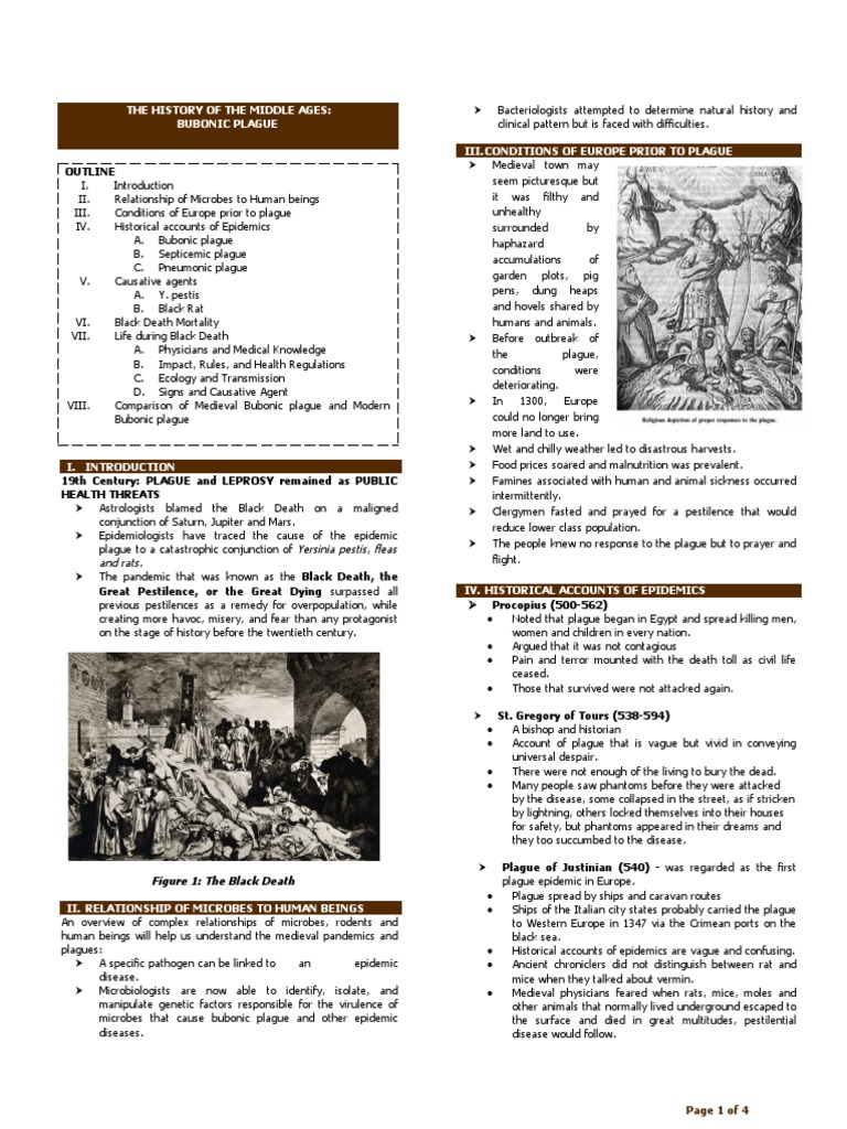 The History of Middle Ages - Bubonic Plague | PDF | Black Death ...