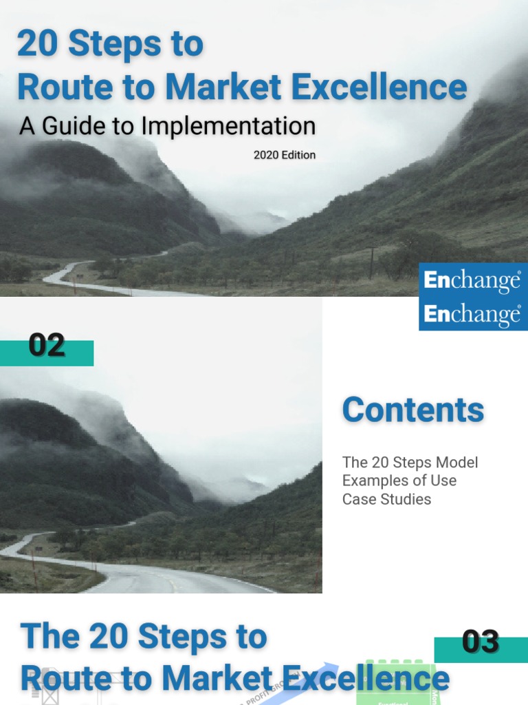 20 Steps to Route to Market Excellence | PDF | Sales | Market Segmentation