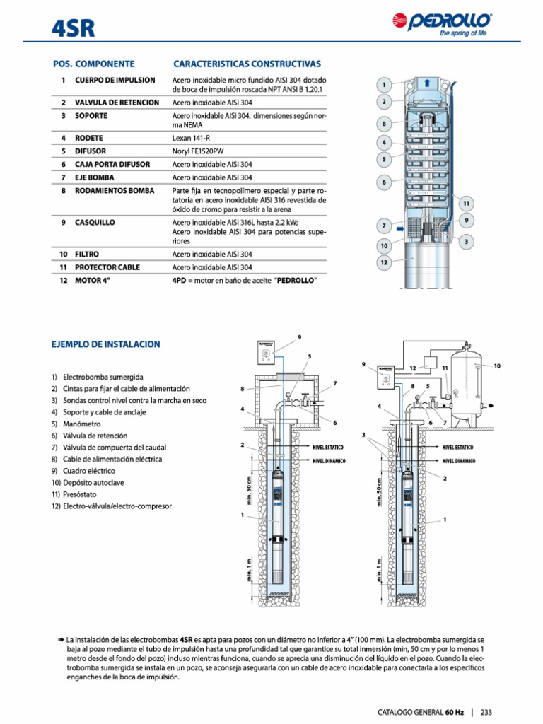 Bomba Pedrollo | PDF | Acero | Bomba