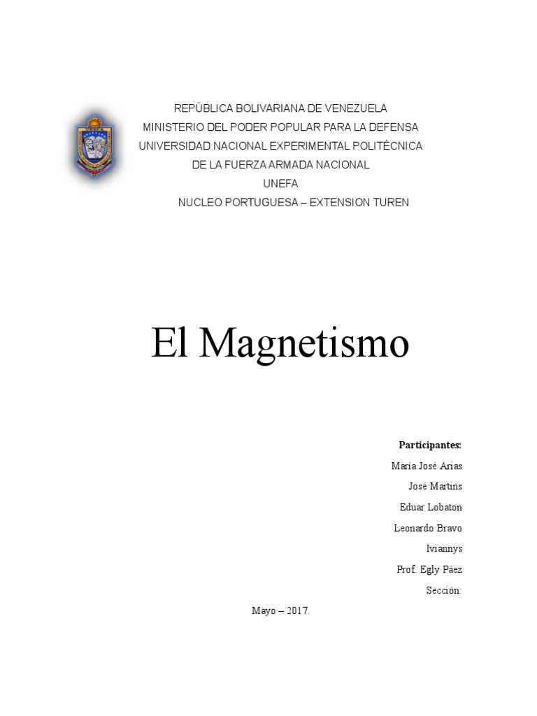 Trabajo de Magnetismo | PDF | Imán | Campo magnético