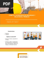 Conformación y Funciones del Comité SST | PDF | Valores | Votación