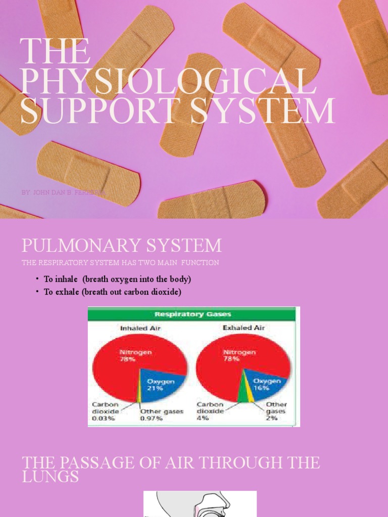 The Physiological Support System | PDF