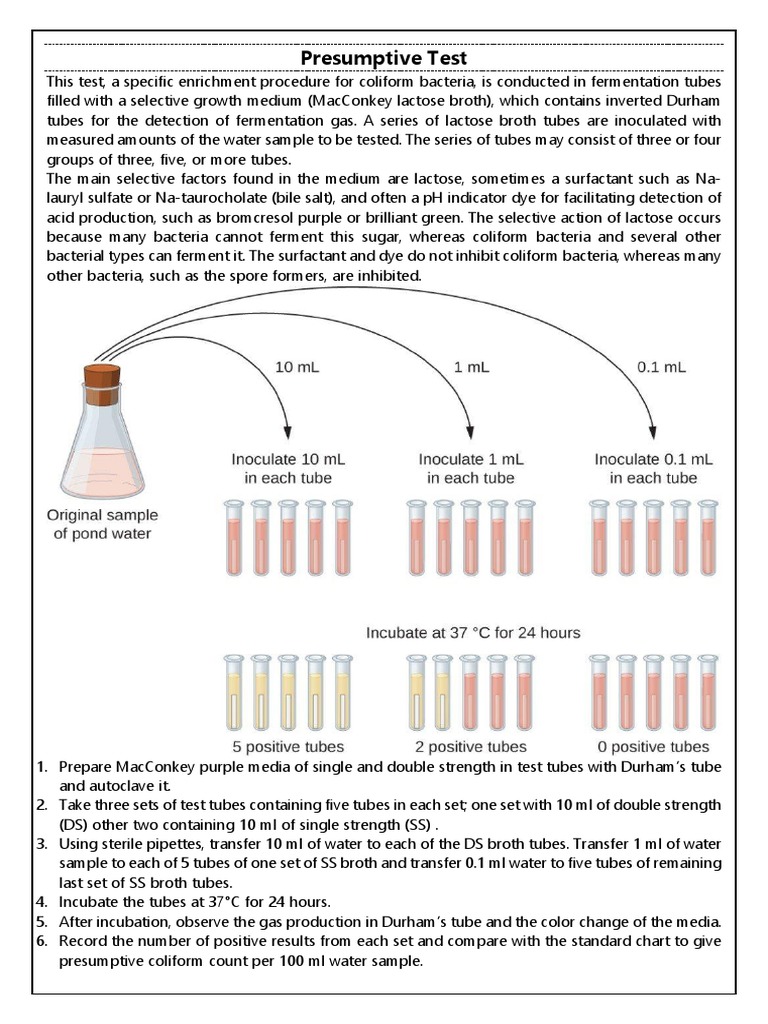 EColi Test | PDF | Microbiology | Organisms