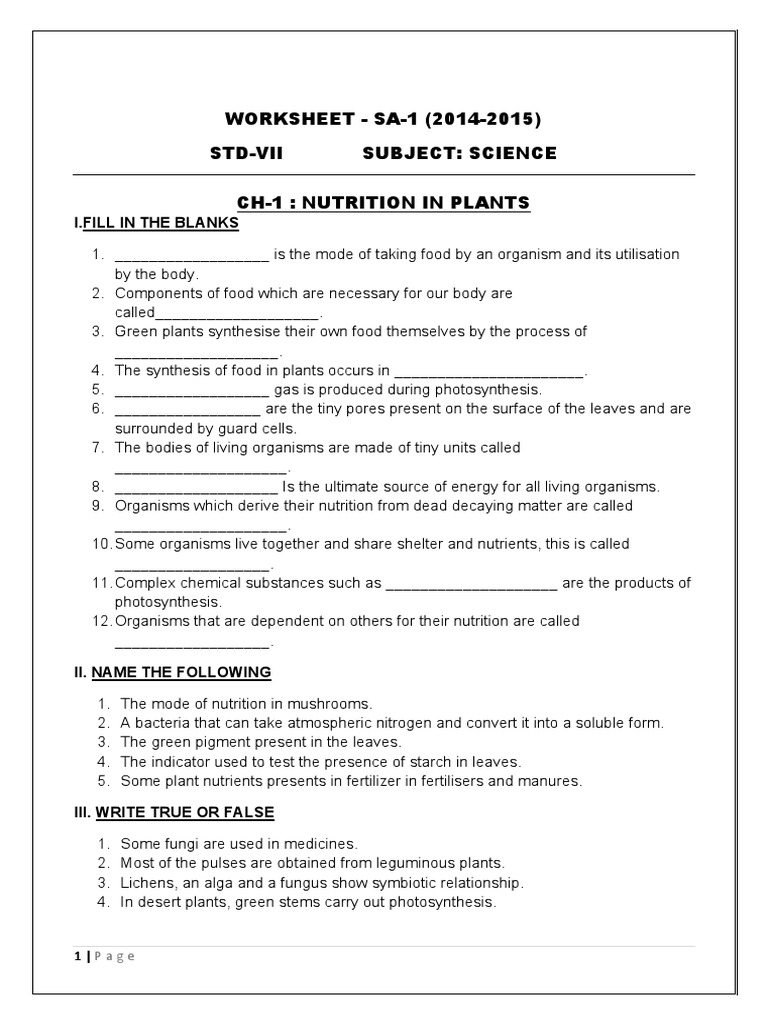 CBSE Class 7 Science - Revision | PDF | Digestion | Plants