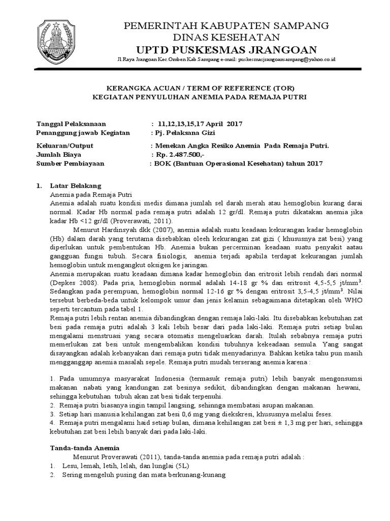 KAK Penyuluhan Anemi PD Remaja | PDF