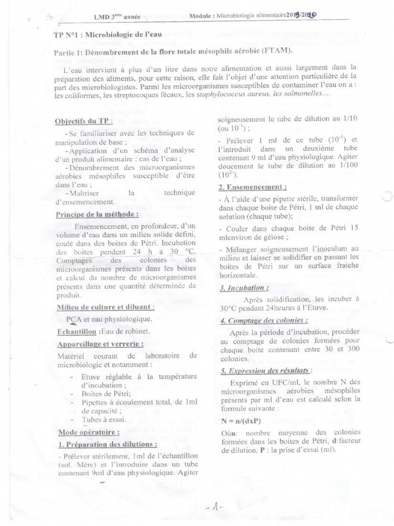 TP Microbio | PDF