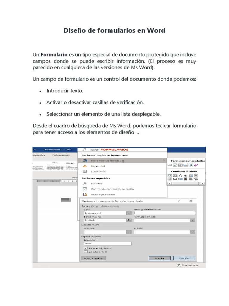Diseño de Formularios en Word | PDF