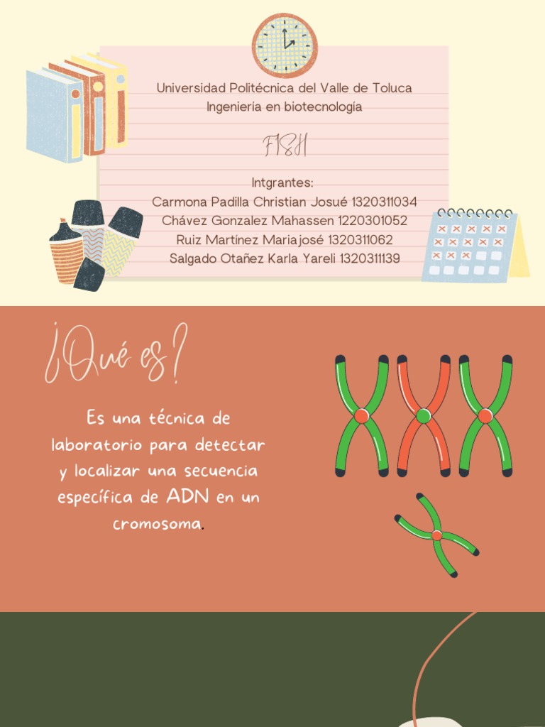 Tecnica Fish | PDF | Hibridación in situ fluorescente | Hibridación de ...