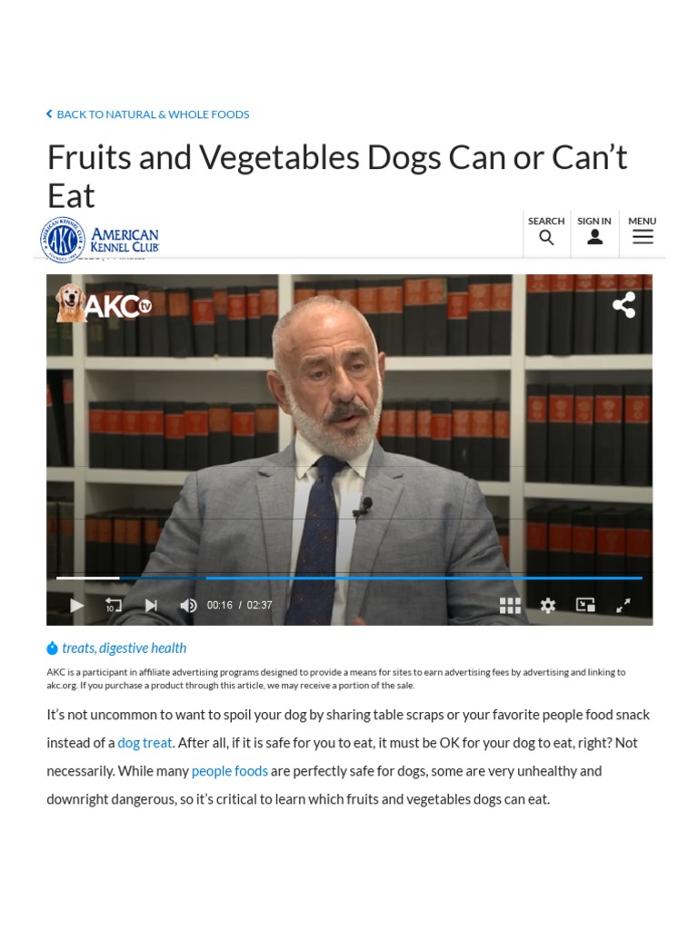 Fruits and Vegetables Dogs Can or Can't Eat - American Kennel Club ...