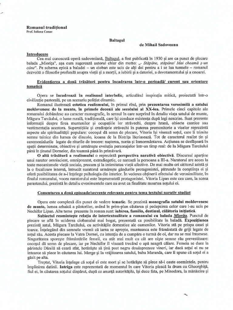 Romanul Traditional BALTAGUL | PDF