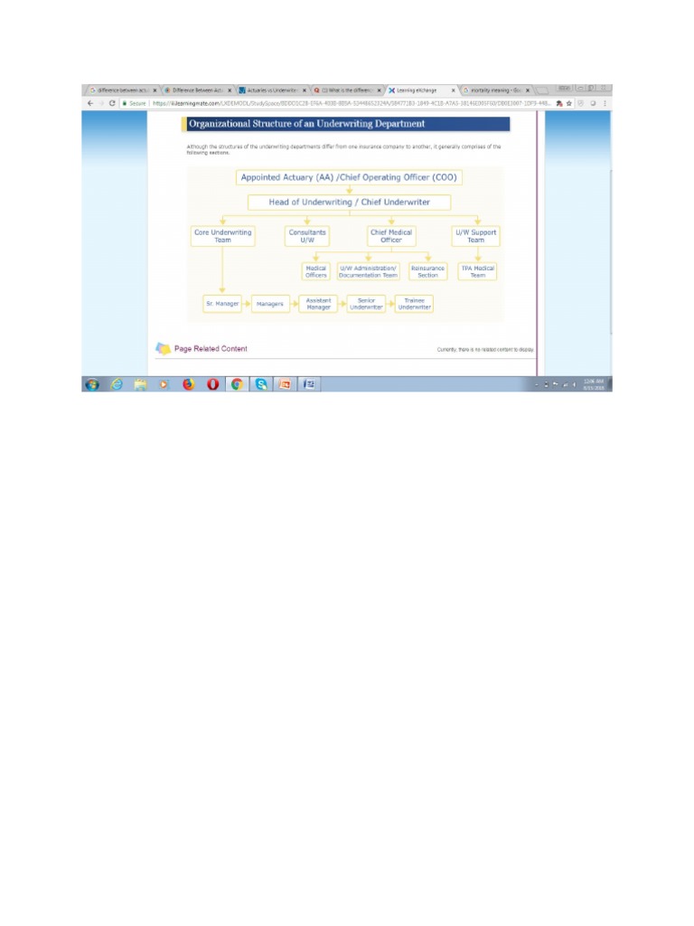 Organization Structure of An Underwriting Department | PDF