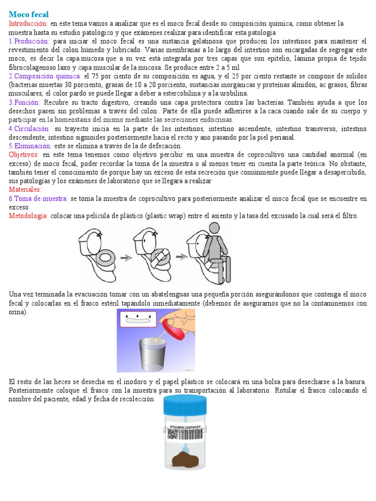 Moco Fecal | PDF | Heces | Intestino grueso