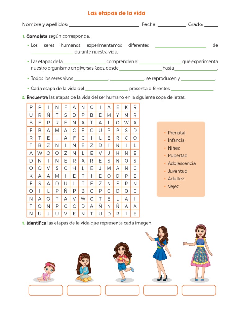 Las Etapas de La Vida | PDF | Adolescencia | Adultos