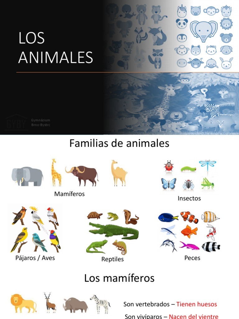 1 - Los Animales - Vocabulario | PDF | Vertebrados | Mamíferos