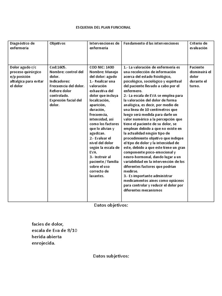 Esquema Del Plan Funcional | PDF | Dolor | Ciencias de la Salud