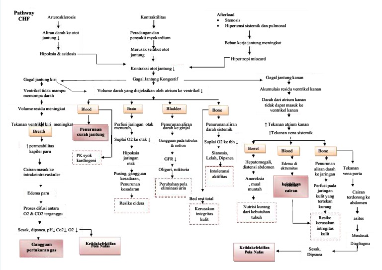PDF Woc CHF DL | PDF