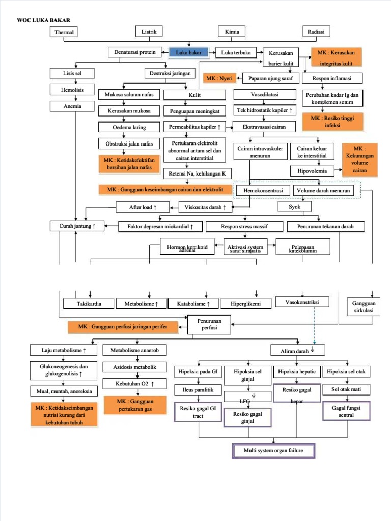 PDF Woc Luka Bakar DL | PDF
