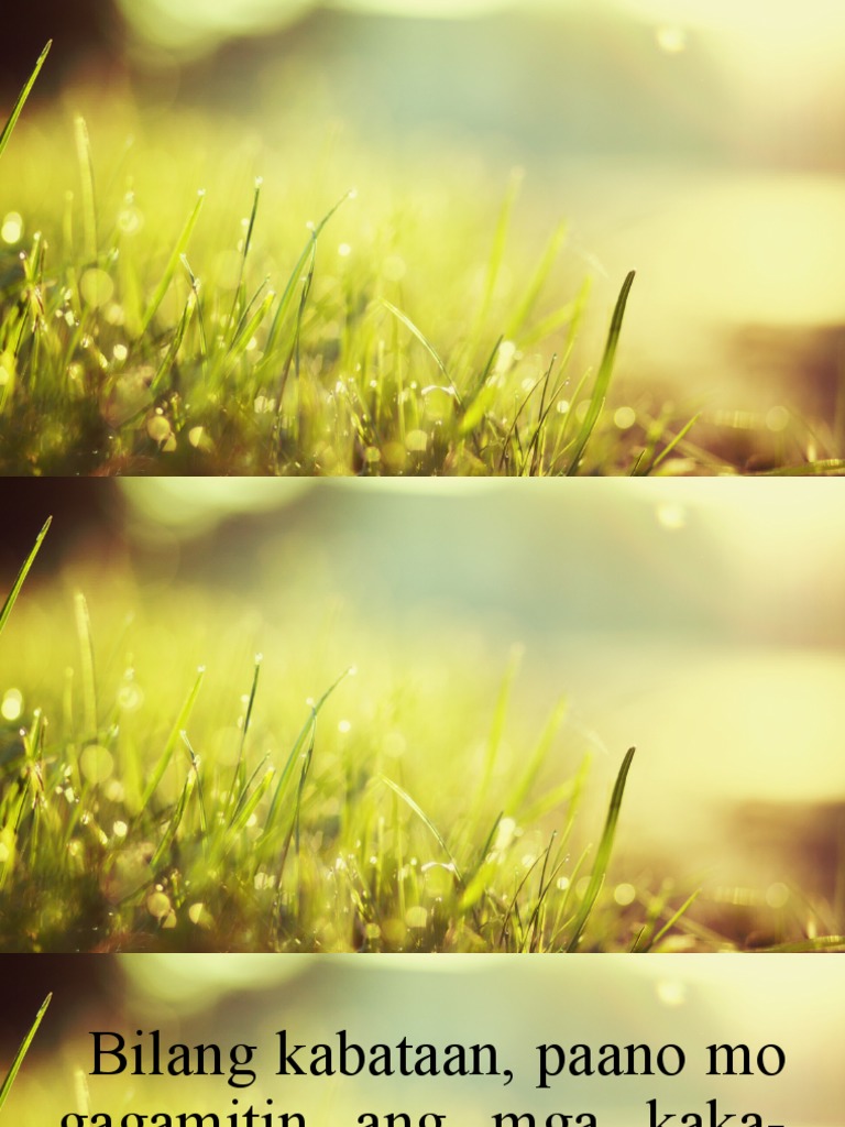 Araling Panlipunan | PDF