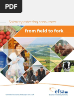 IFIF Fact Sheet | PDF | Food And Agriculture Organization | Economies