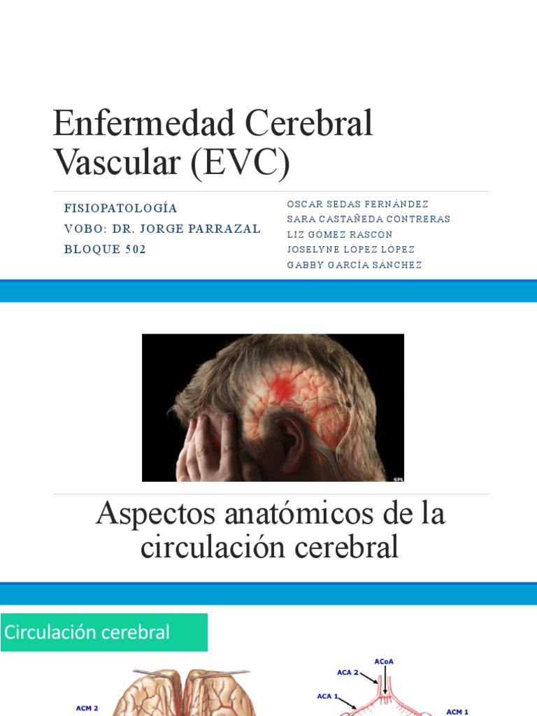 Enfermedad Cerebral Vascular EVC | PDF | Hemisferio cerebral | Sistema nervioso