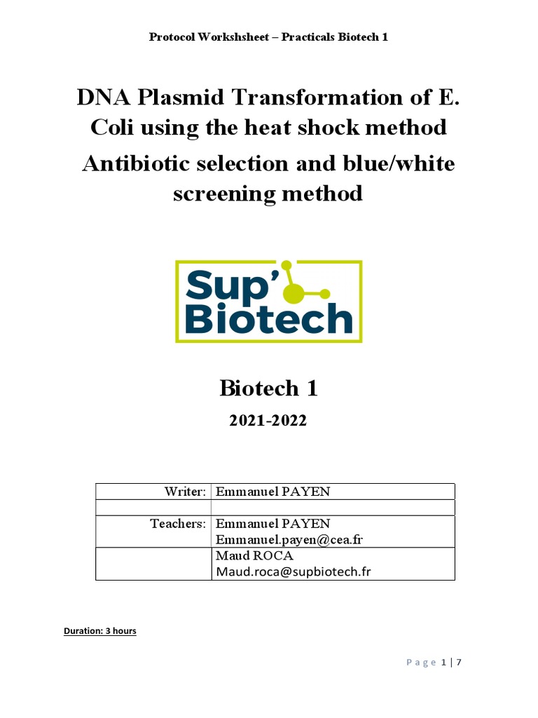 Transformation Protocol Worksheet Practicals B1 T2021 2022 Pdf