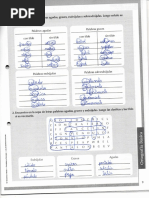 Uso de la X y CC: Reglas y Ejemplos | PDF