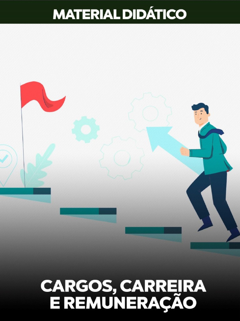 Cargos Carreira e Remuneração | PDF | Gestão de recursos humanos ...