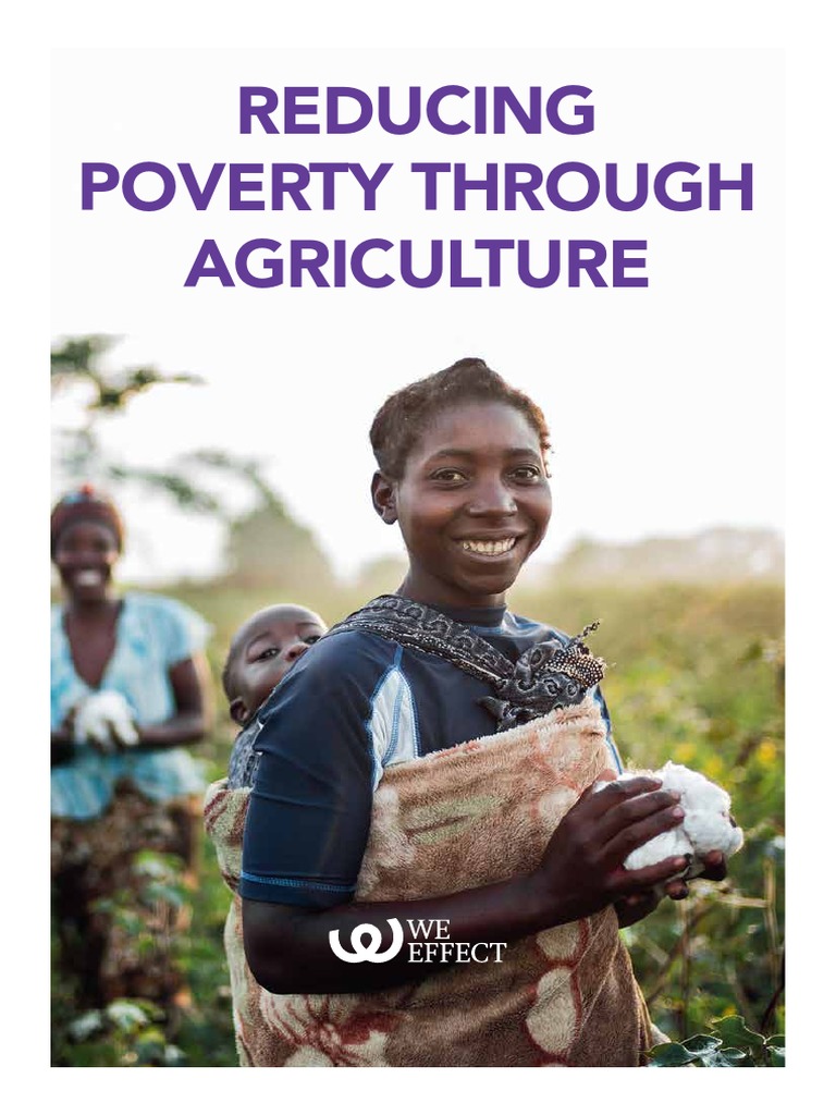 Reducing Poverty through Sustainable Agriculture: A Case for Investing ...