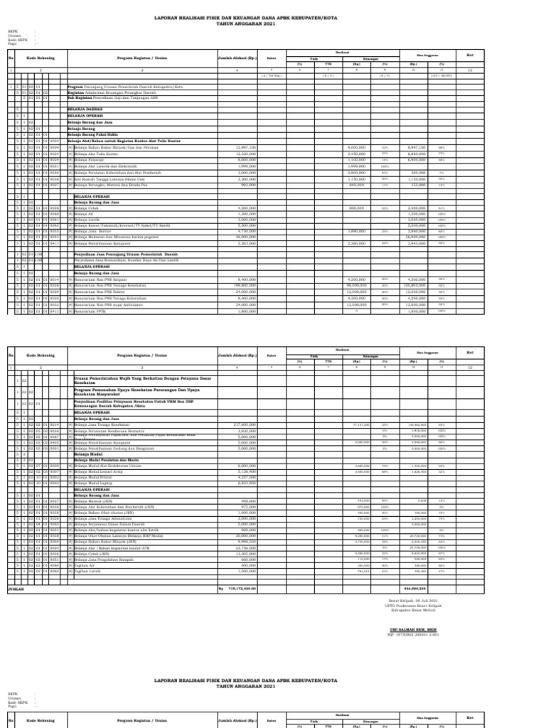 Format Laporan Realisasi Fisik Dan Keuangan 2021 | PDF | Finance ...