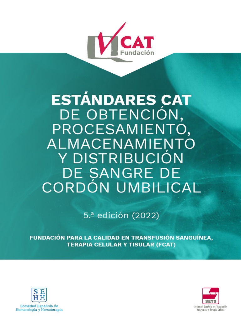 Estandares-CAT BSC Ed 2022 | PDF | Calidad (comercial) | Planificación