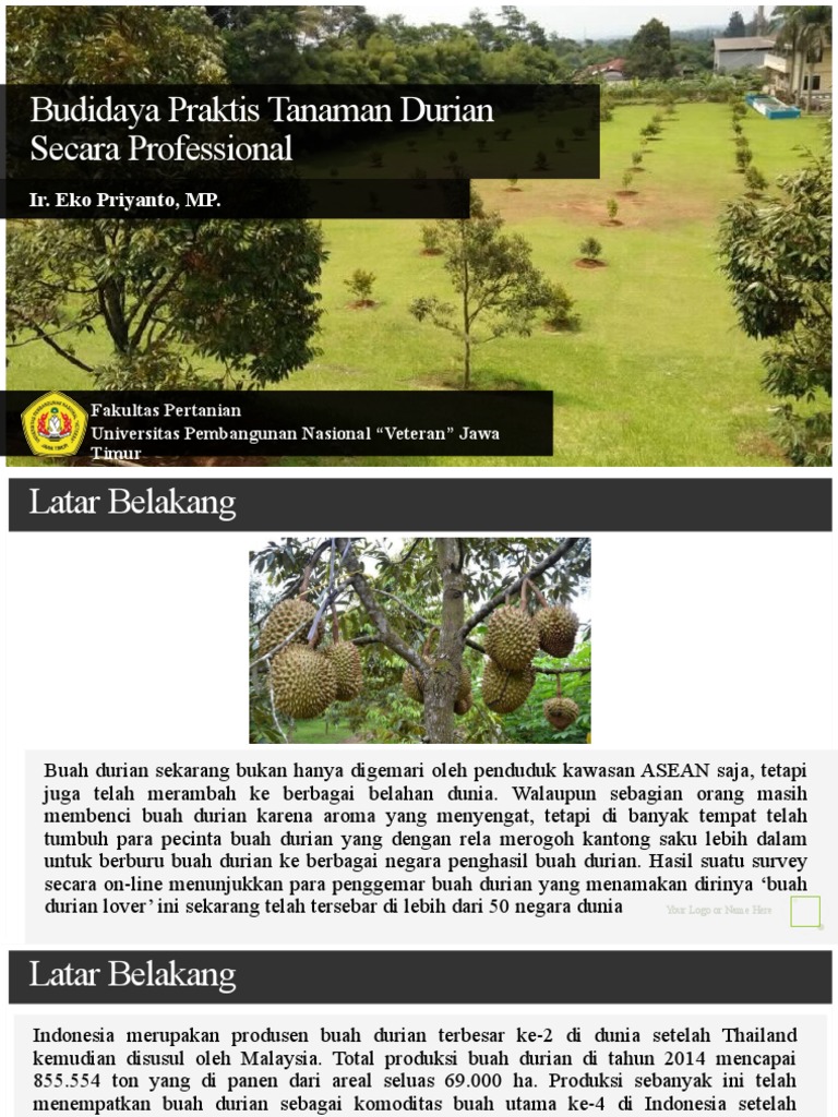 Panduan Budidaya Pohon Durian Profesional | PDF | Griya & Taman