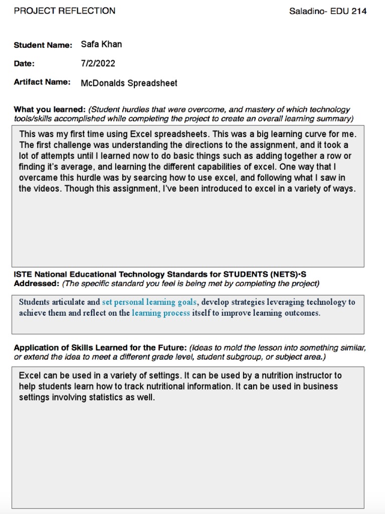 Spreadsheet Reflection | PDF