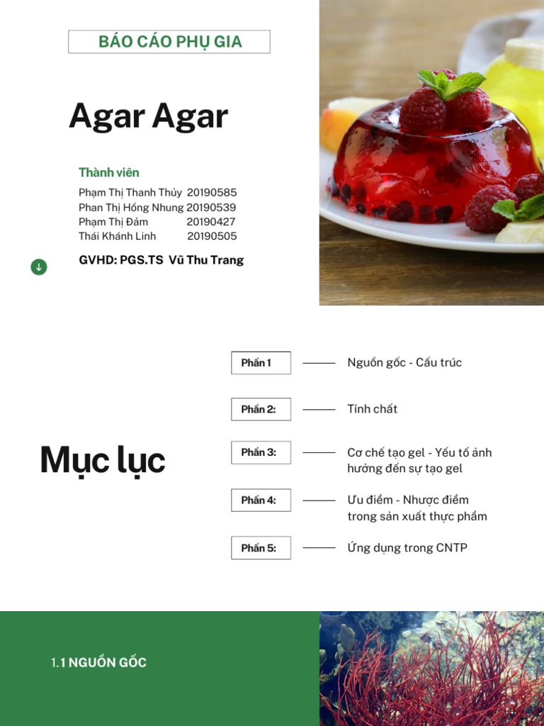 Agar Agar | PDF