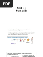 IDT Primer Design for qPCR | PDF | National Center For Biotechnology ...