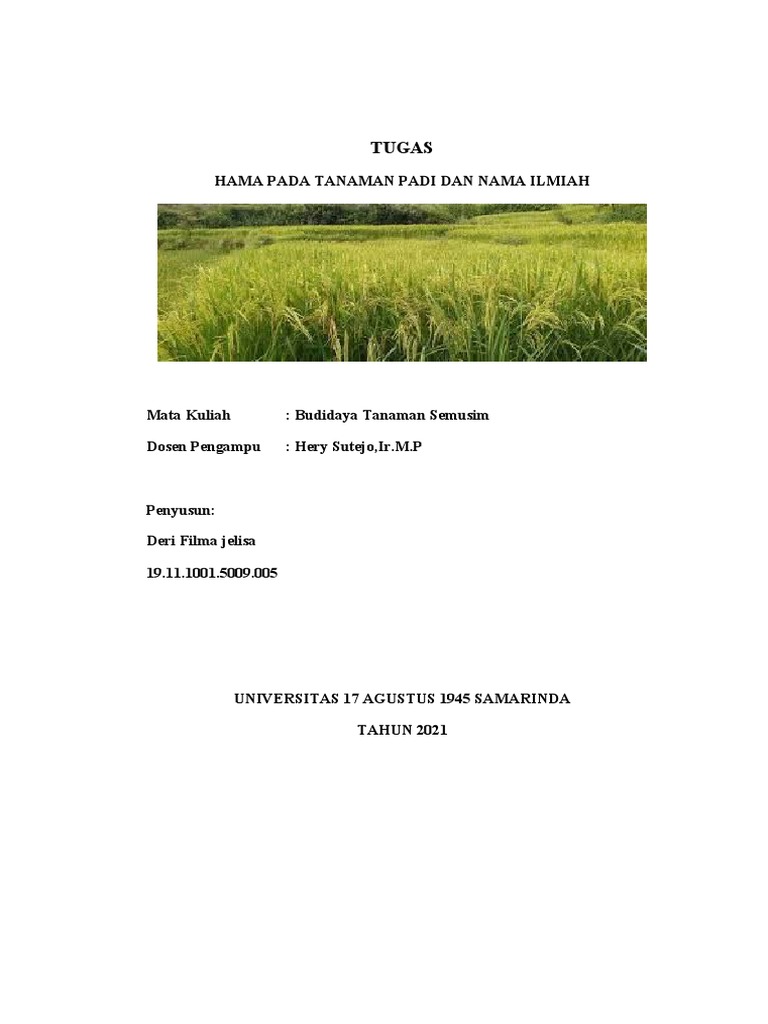 Budidaya Tanaman Semusim | PDF