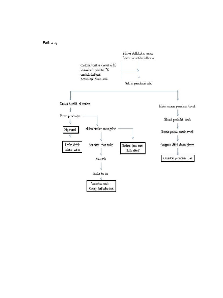 Pathway Pneumonia 1 | PDF