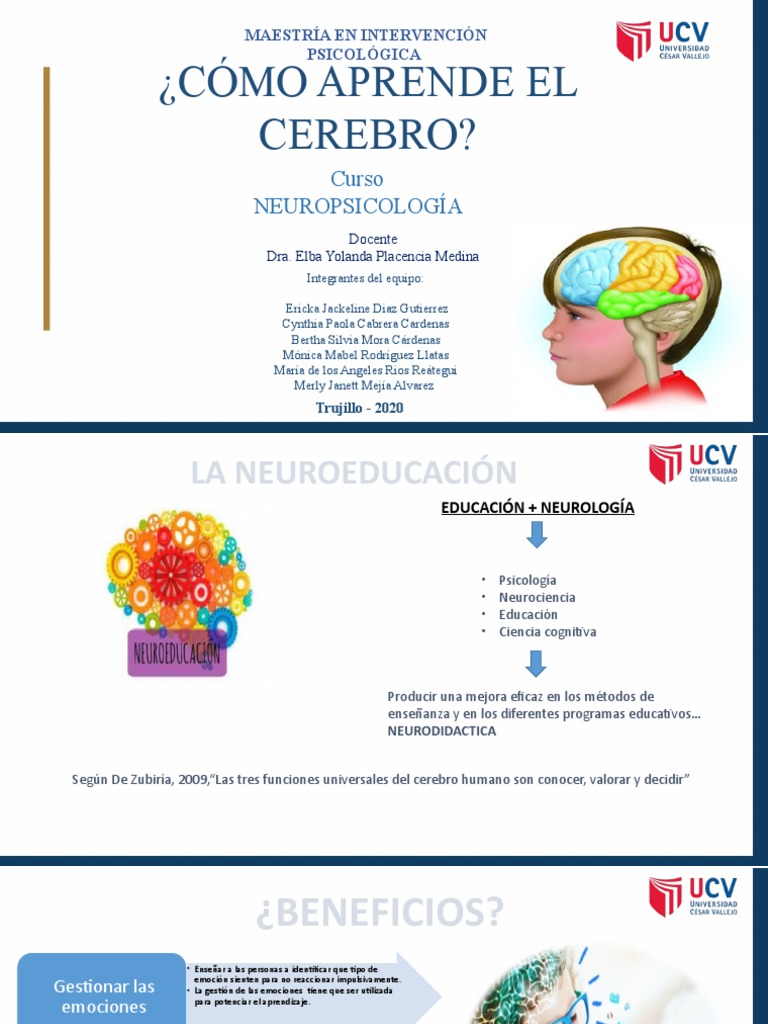 Como Aprende Nuestro Pdf Percepción Aprendizaje