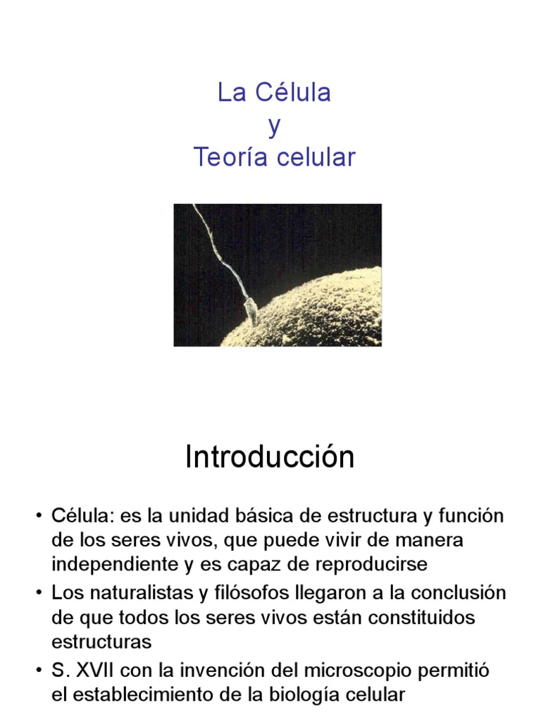 Célula y Teoria Celular | PDF | Biología Celular) | Citoplasma
