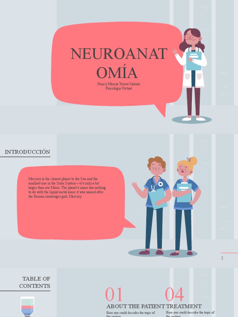 Neuroanat Omía: Nancy Mireya Torres Salazar Psicologia Virtual | PDF ...