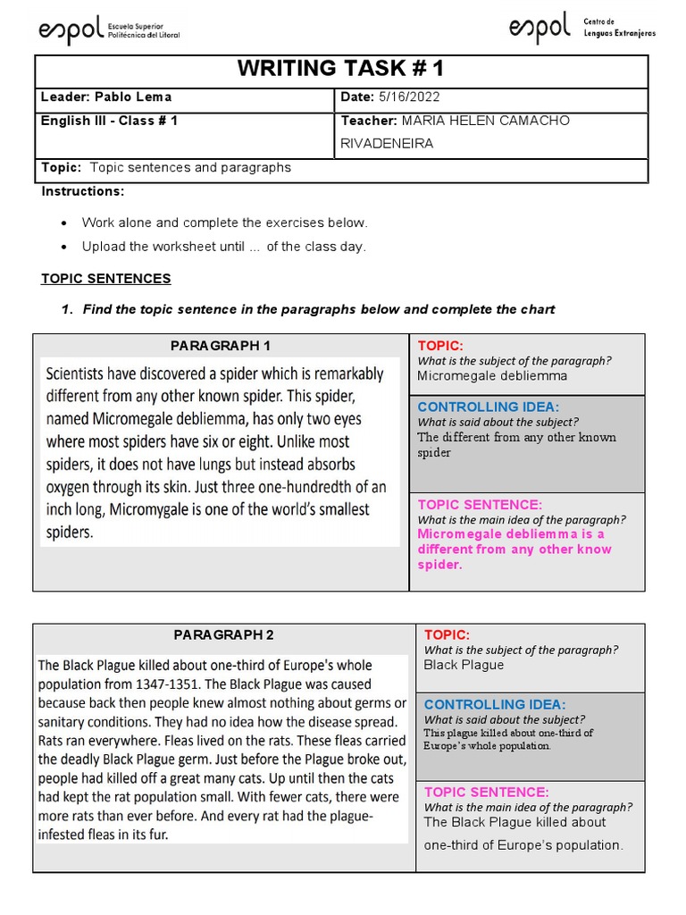 WRITING TASK 1 - Topic Sentences and Paragraphs | PDF | Paragraph