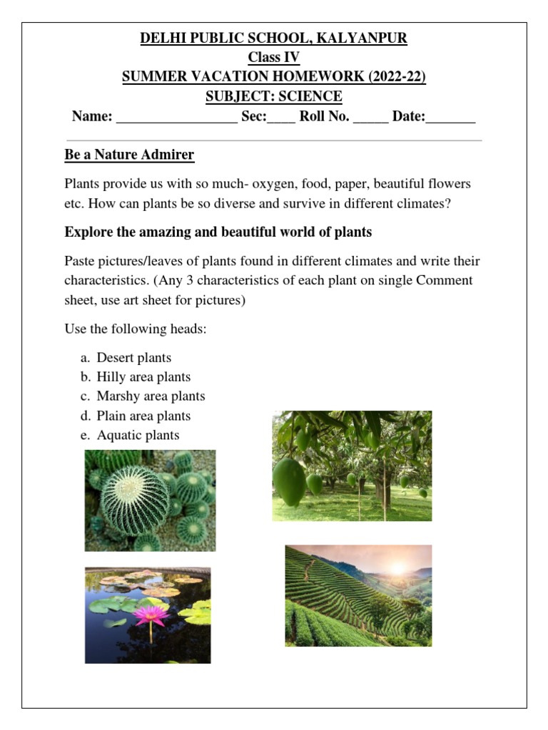 Science Holiday Homework Class 4 | PDF