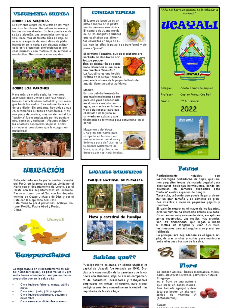 Triptico Ucayali | PDF | Selva