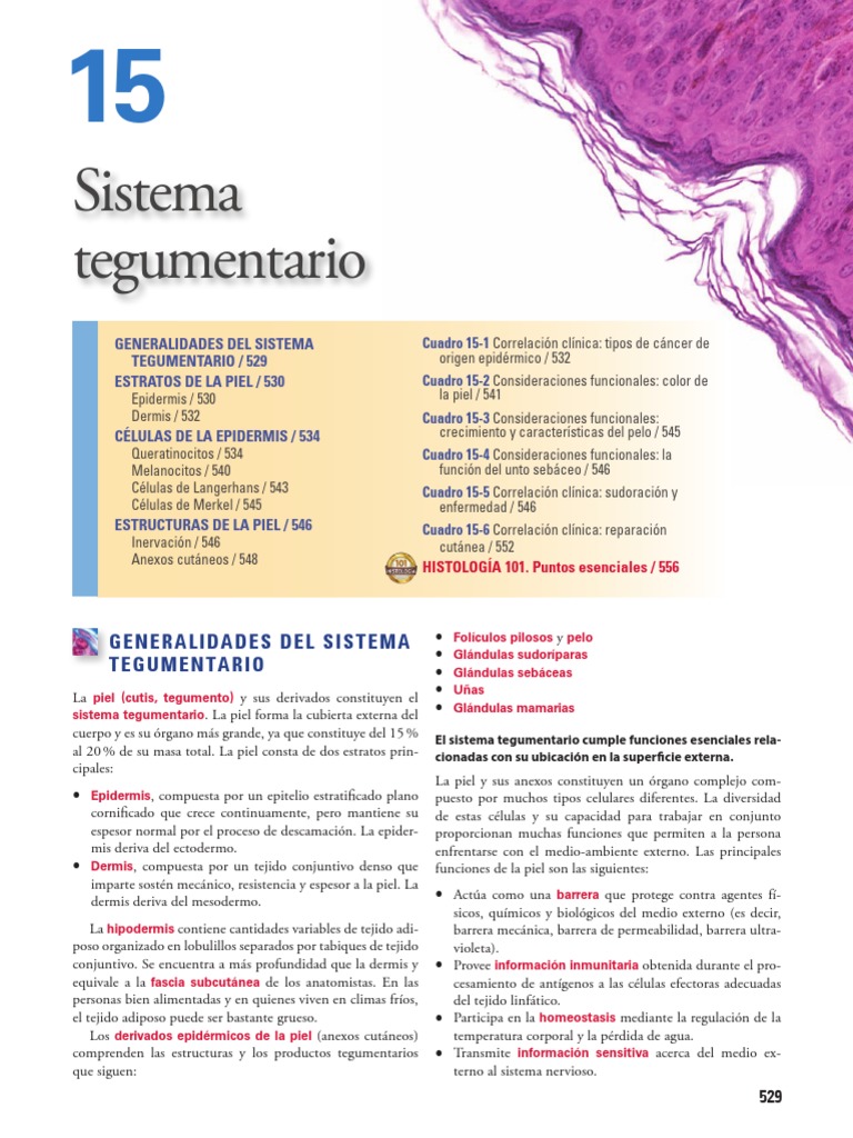 Capítulo Sistema Tegumentario. Ross | PDF | Piel | Epidermis